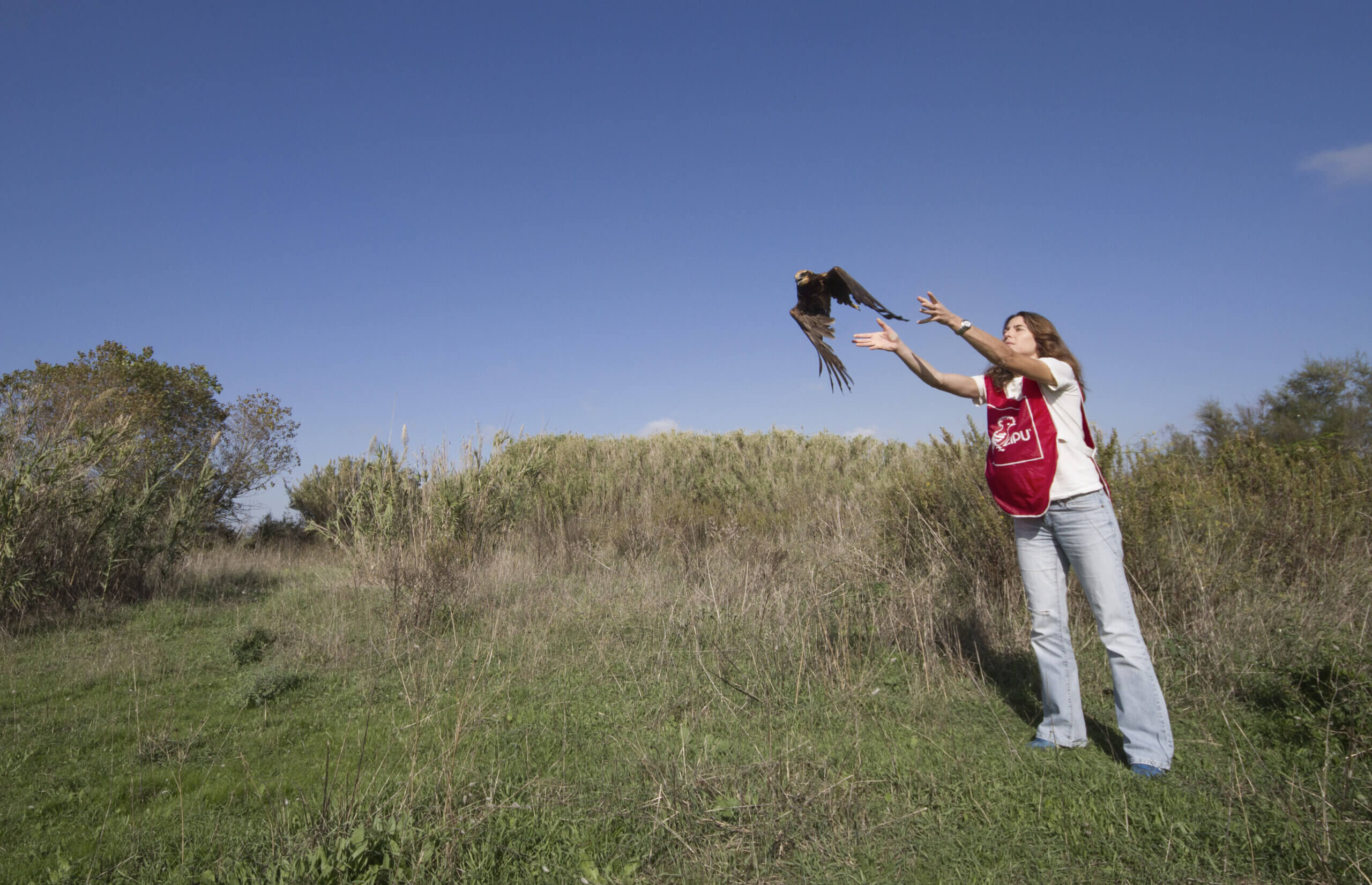 Birdlife Europe – Letting birds fly free
